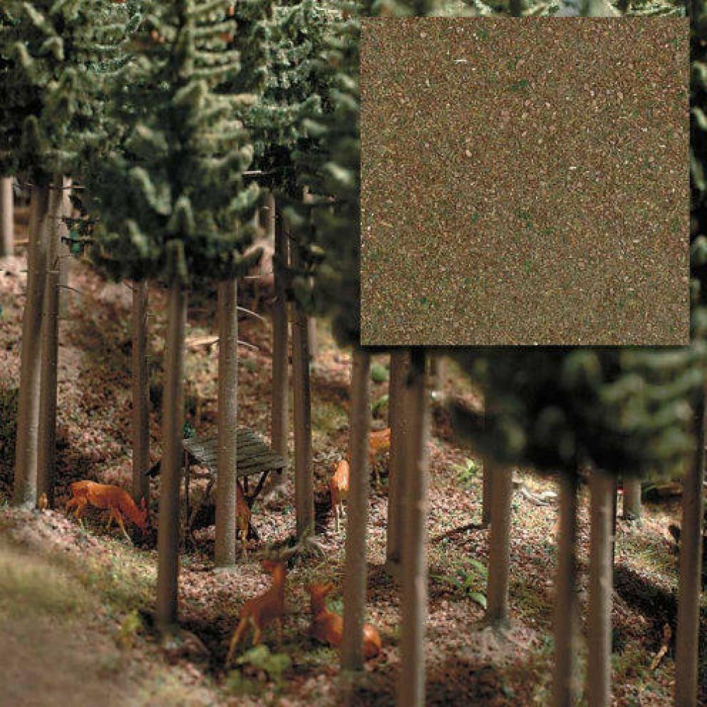 Model Ground cover soil Pine Forest