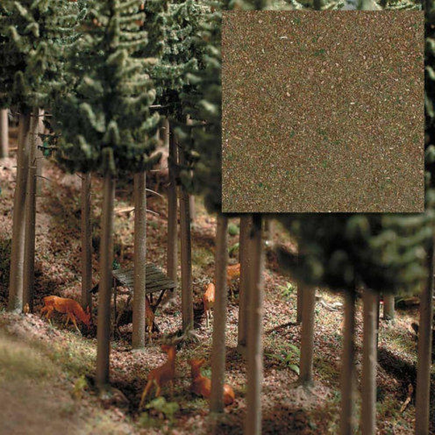 Model Ground cover soil Pine Forest