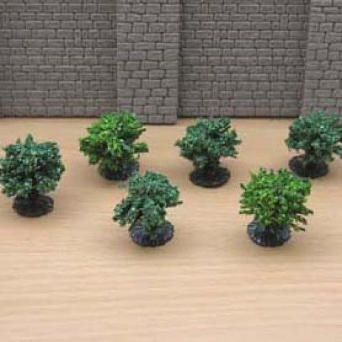 'OO' Hedges - Bushes