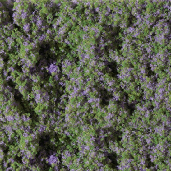 Clump Foliage Lilac Flower