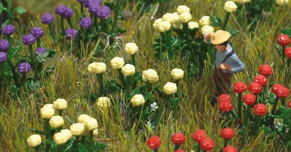 Scale model Plants and Flowers