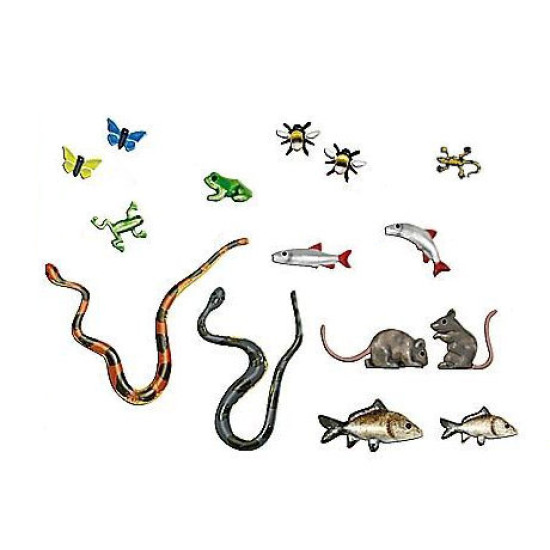 Model Small Animals Fish and Insects OO