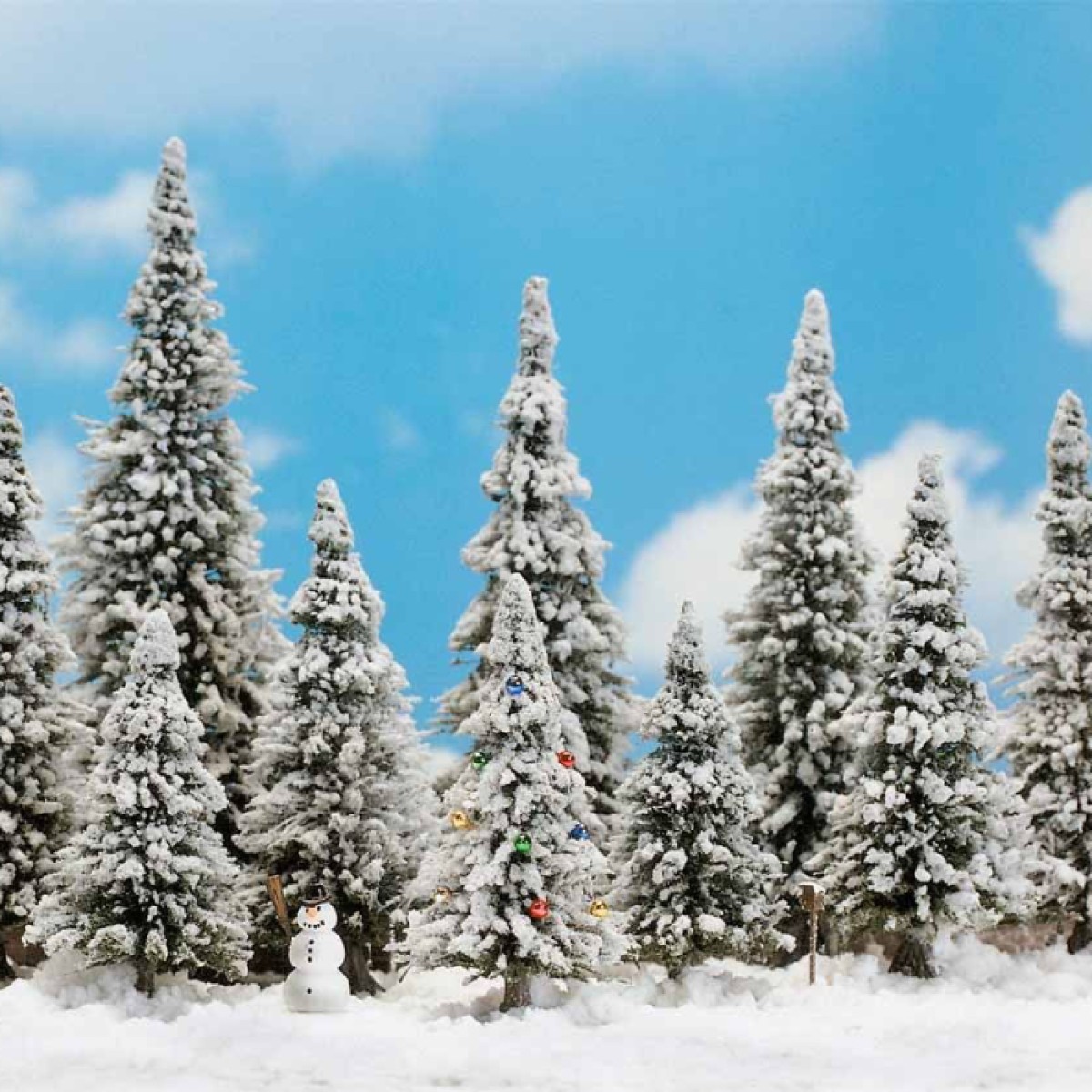 O gauge Spruce Trees with dead branches 300mm tall