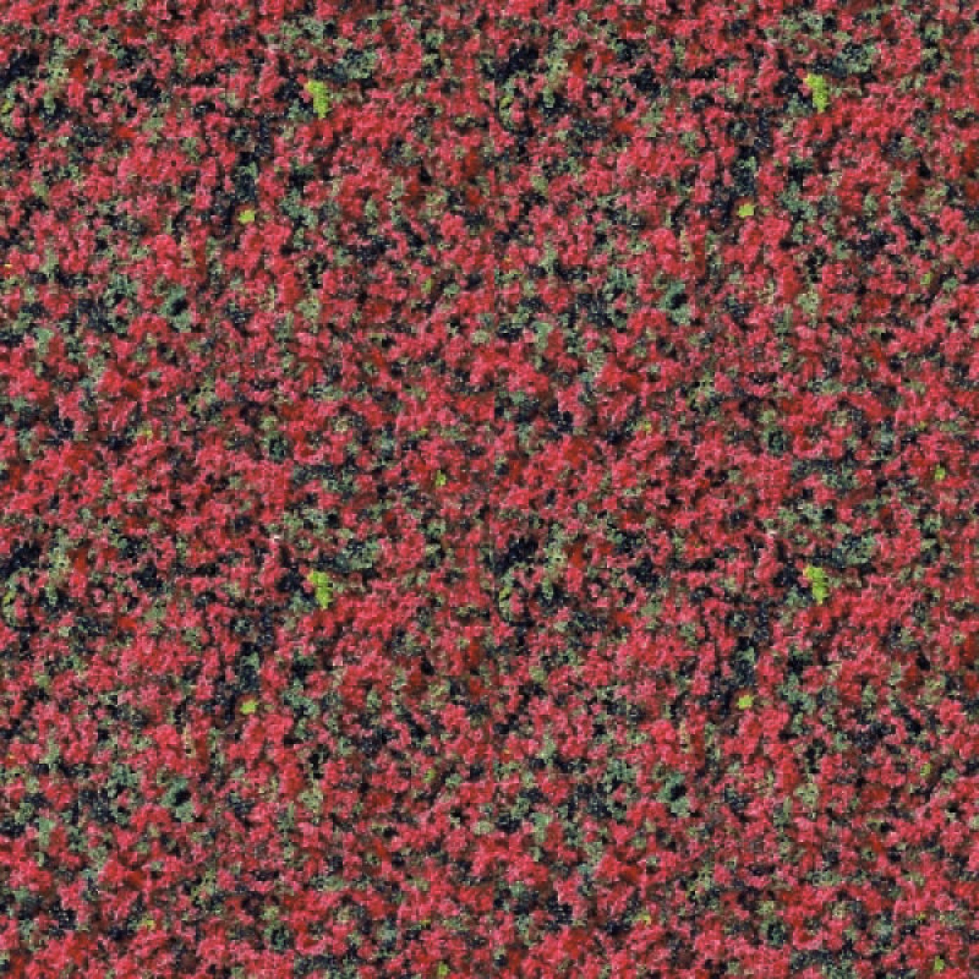 Model Flock Flower Mix Red