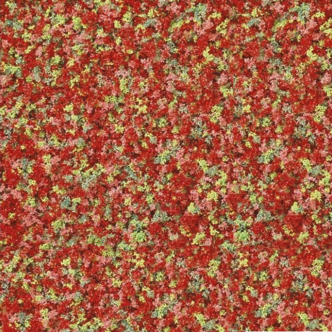 Model Flock Flower Mix Red
