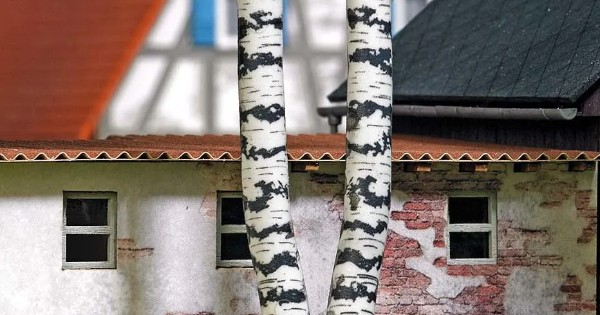 Model Painted Brick Wall Card sheet OO