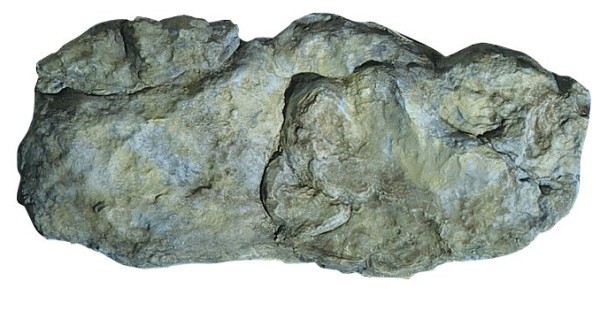 Woodland Scenics Rock Mould Washed C1242