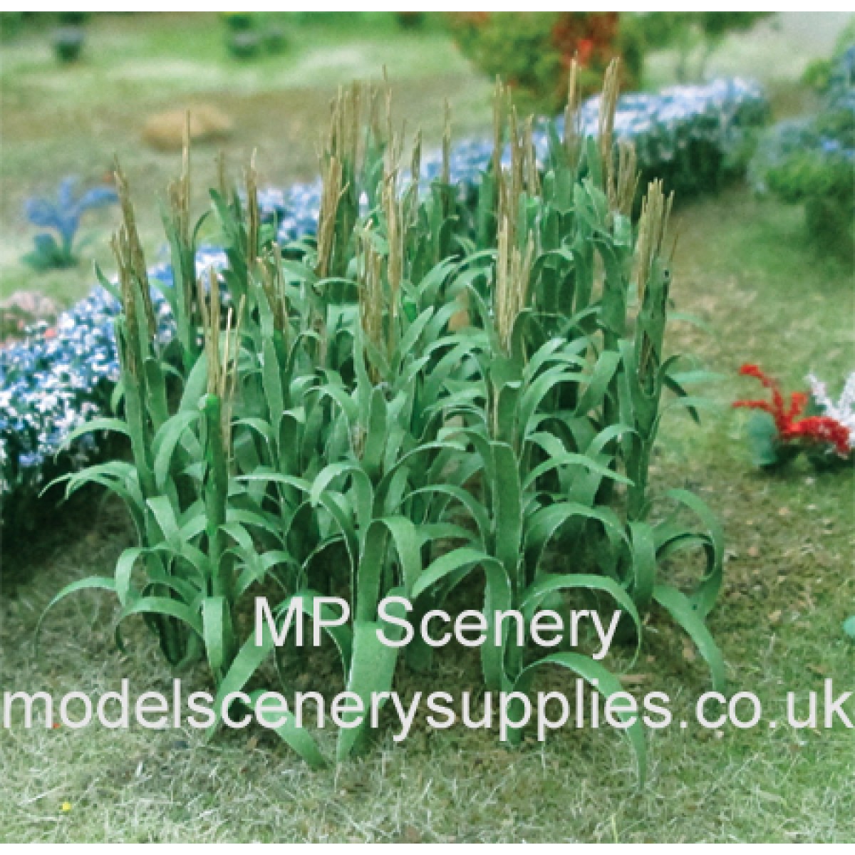 Model O gauge Sweetcorn plants