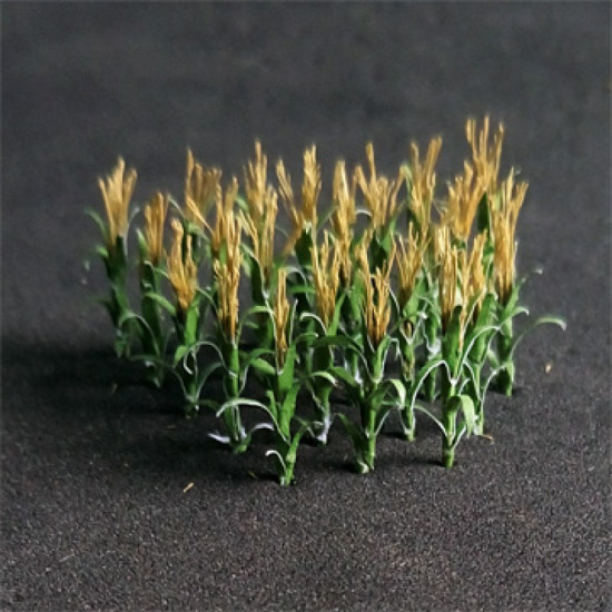 Sweetcorn or maize plants N gauge