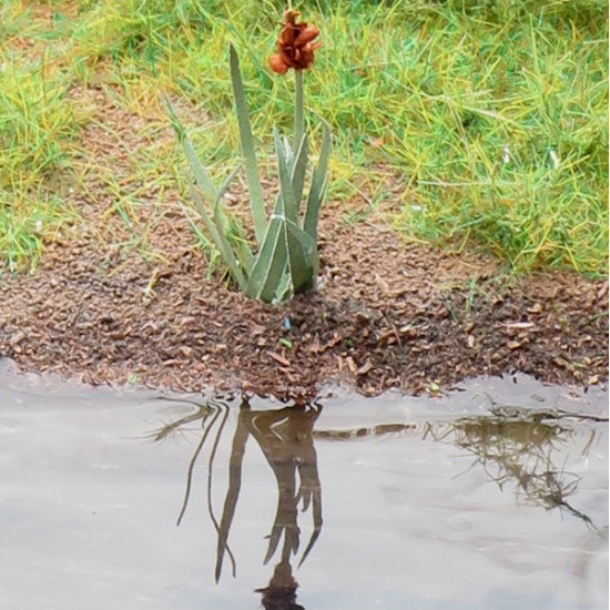 Model water Aqua Magic from Deluxe