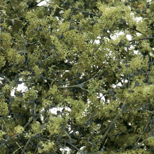 Woodland Scenics Fine-Leaf Foliage™