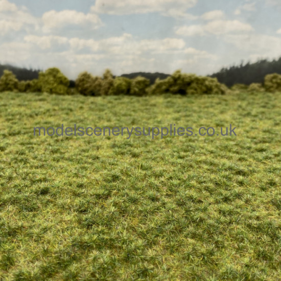 Landscape Mat Grass Summer Meadow with Grass Tufts Model Scene F517