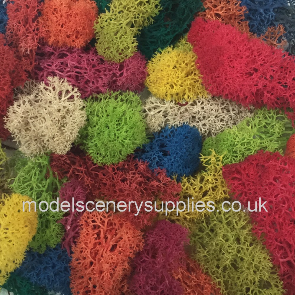 Model Railway, diorama and dolls house Flower garden lichen Mixed colours