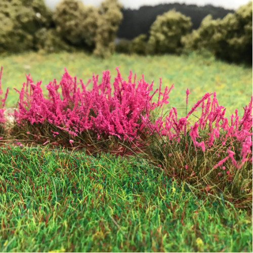 Scale model Plants and Flowers