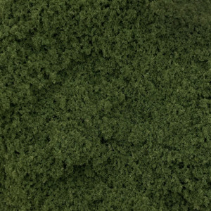 Fine Turf and Foliage Cover Wild Green By Footpath Scenes