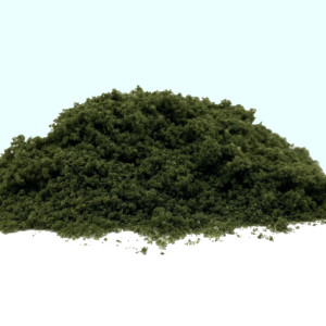 Fine Turf and Foliage Cover Wild Green By Footpath Scenes