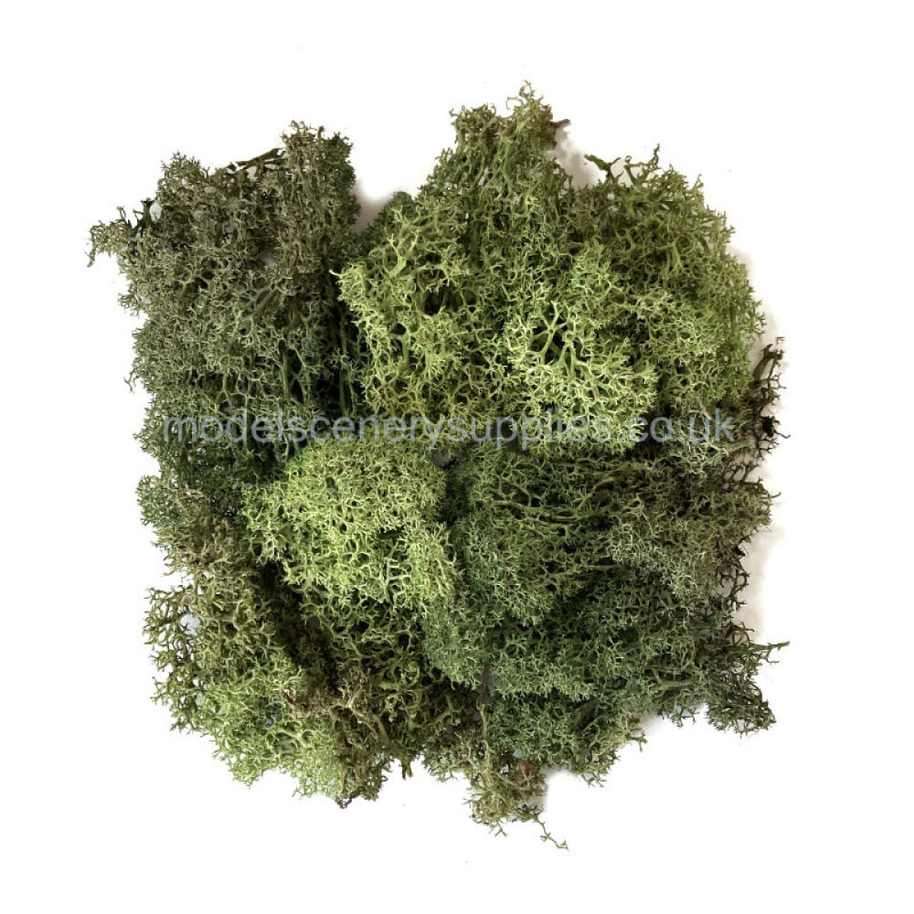 Model railway and wargame Lichen bushes and foilage