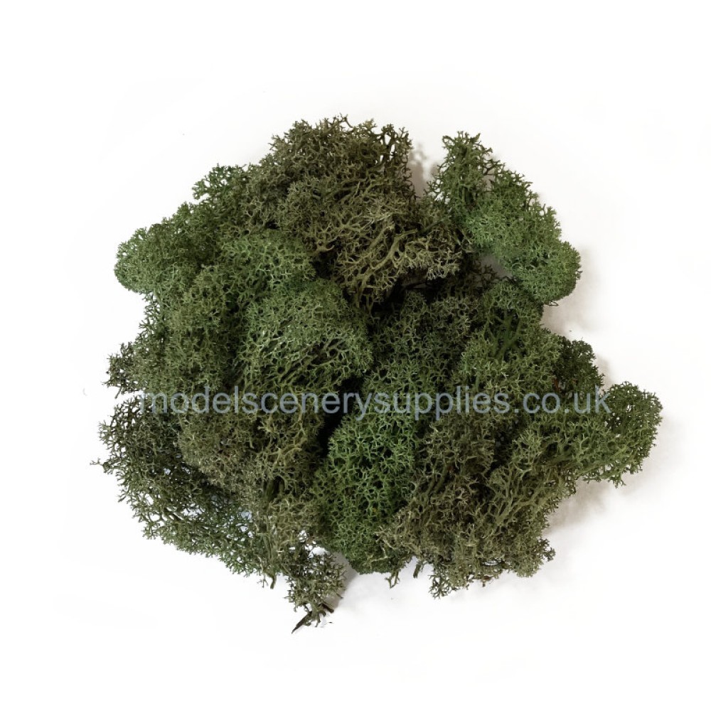 Model railway and wargame Lichen bushes and foilage