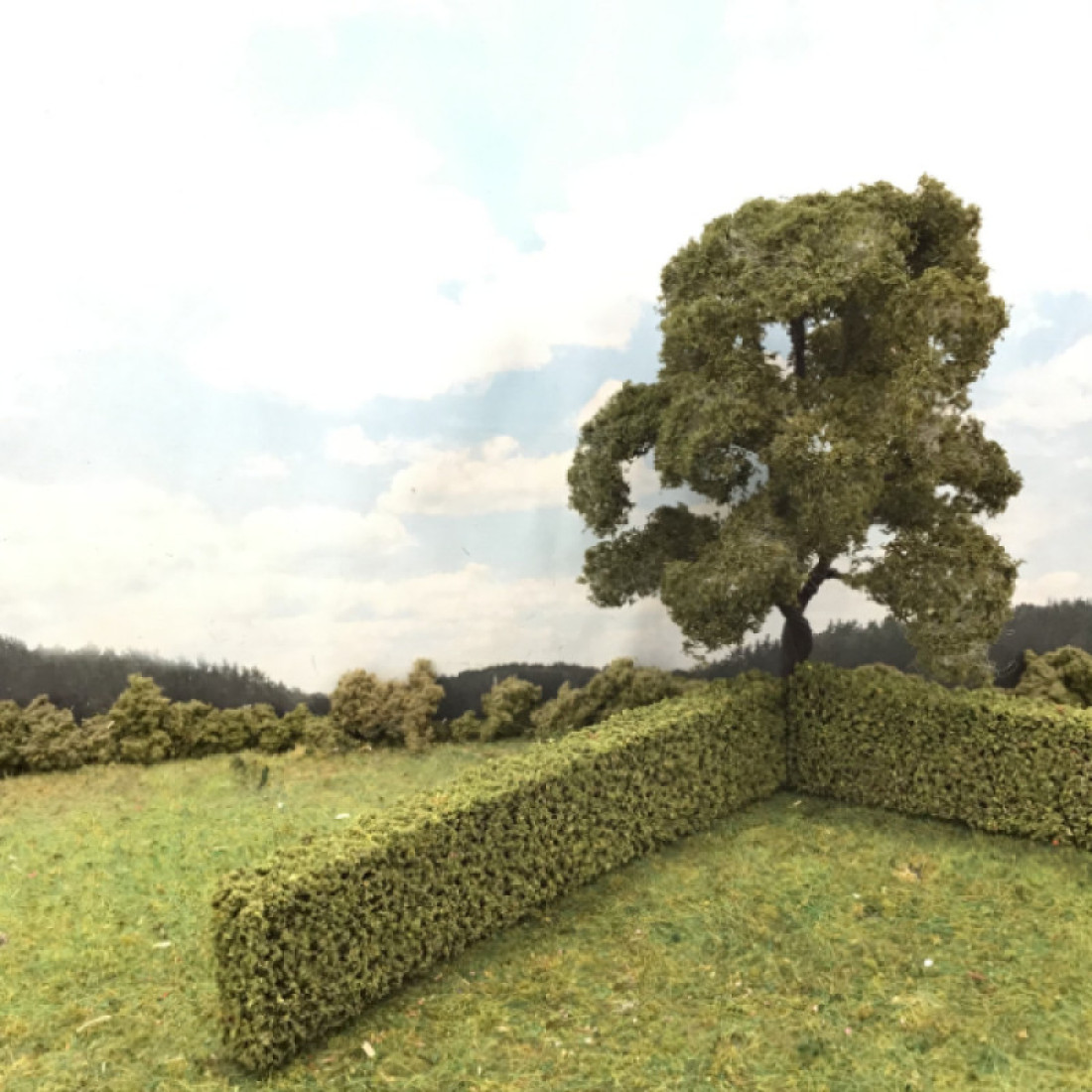 Model Hedge 25mm tall