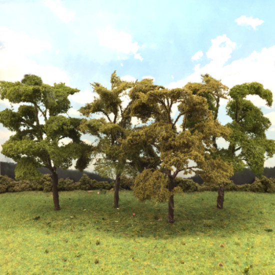 Summer Elm Trees