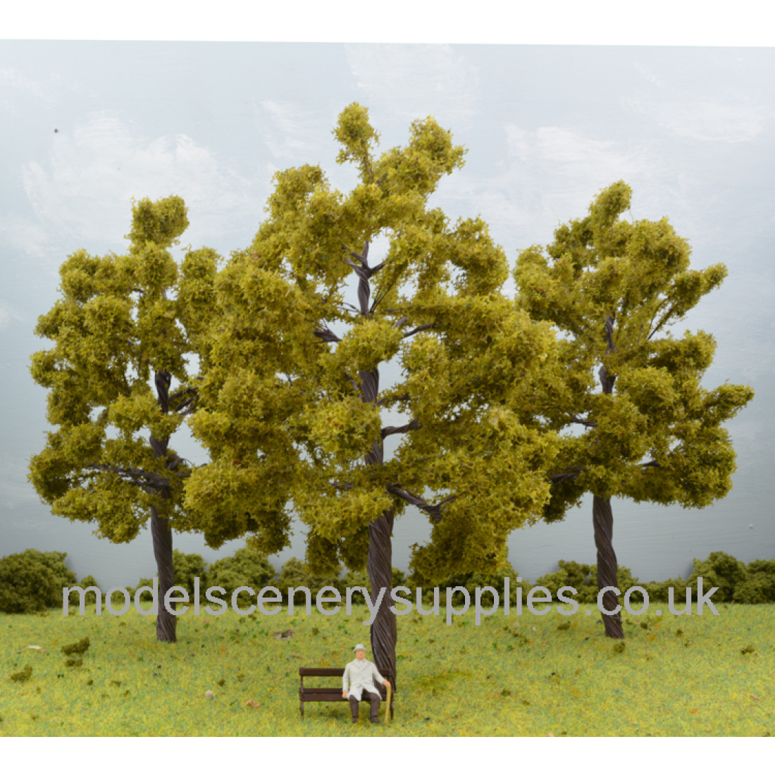 Model Ash Trees