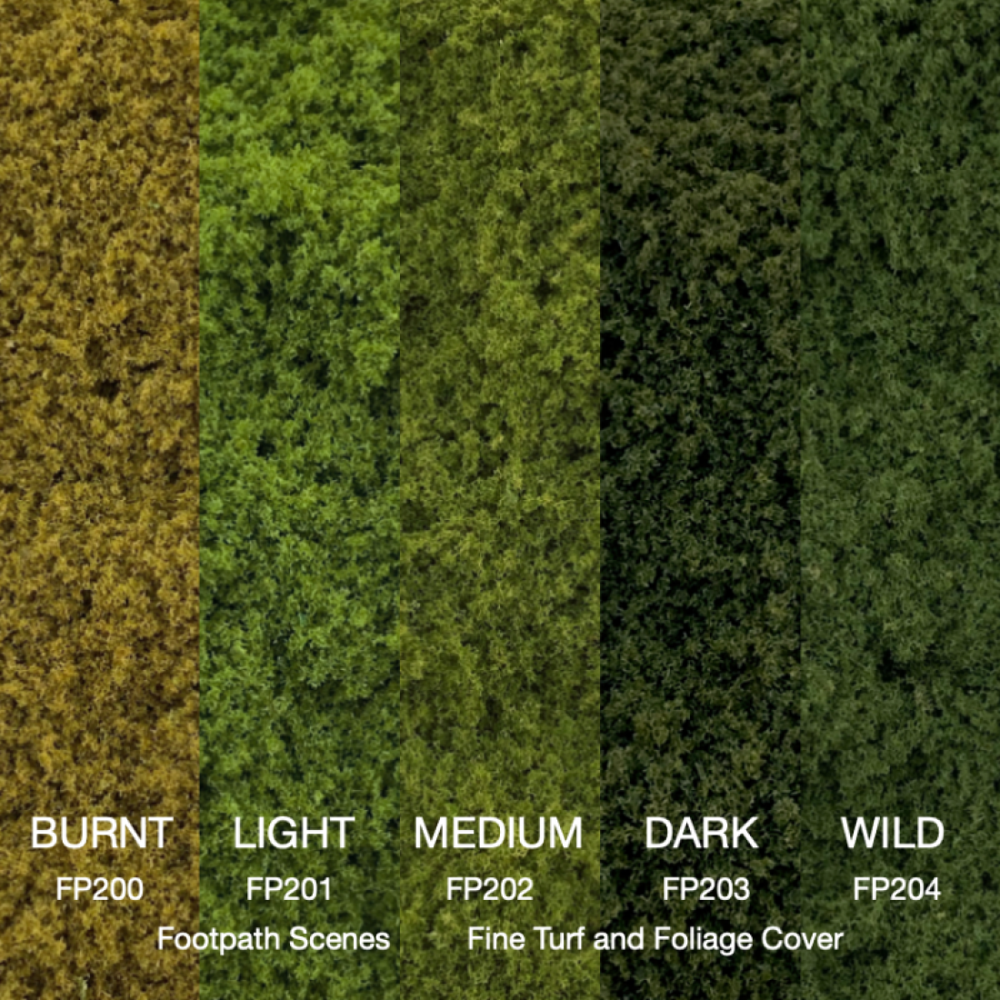 Fine Turf and Foliage Cover Wild Green By Footpath Scenes