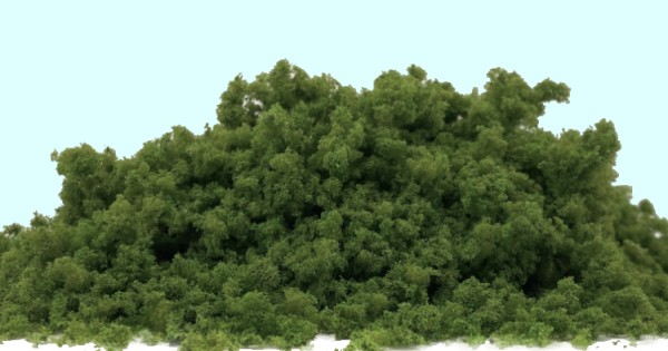 coarse-turf-and-foliage-cover-light-green FP251