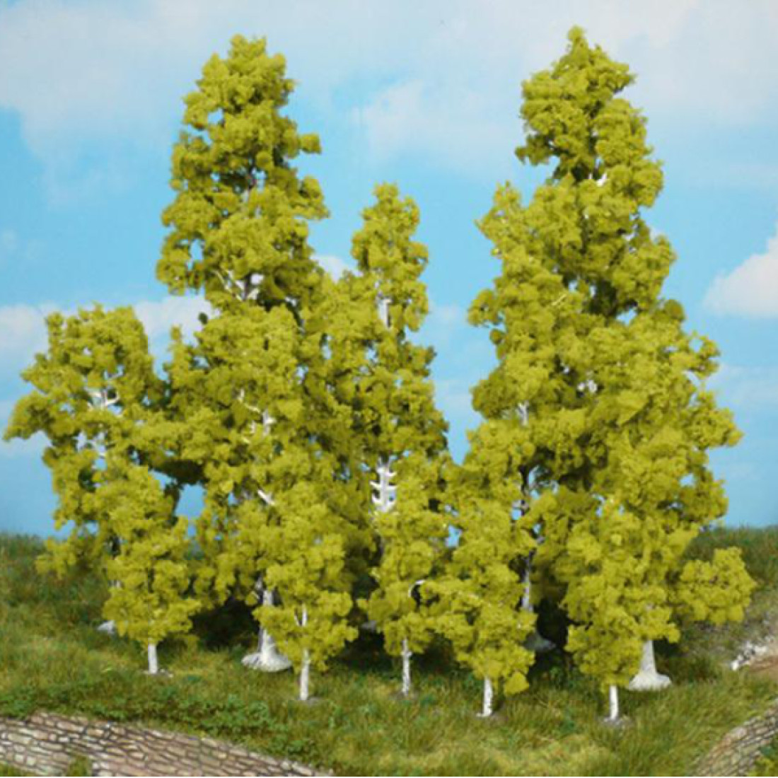 Model Birch Trees 100mm Tall