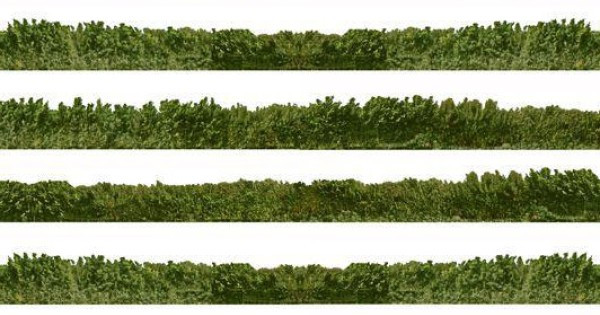 Mode railway printed hedge Self-Adhesive Printed in N Gauge