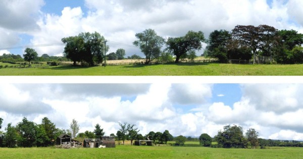 Model Railway Backscene Countryside 109C OO 15 inch tall Self Adhesive