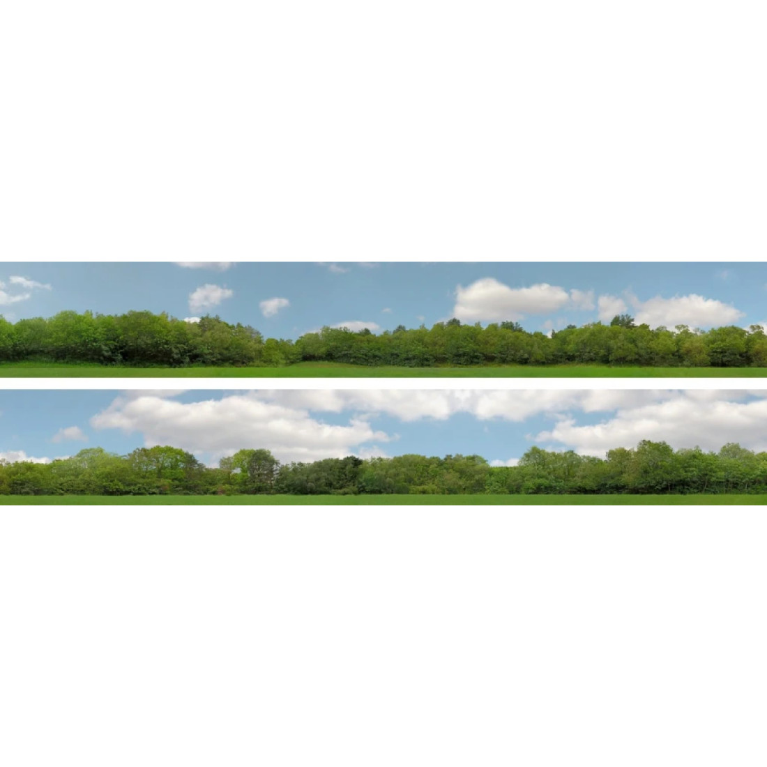 Model railway backscene Trees N147B N gauge