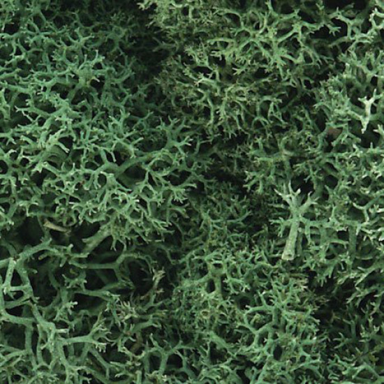 Model railway Lichen from Woodland Scenics L163