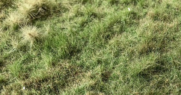 Model Landscape Mat Grass, Wild Summer Meadow. Lars op 't Hof Scenery ...