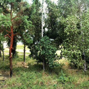 Model Landscape Mat Forest Floor. Lars op 't Hof Scenery in the UK