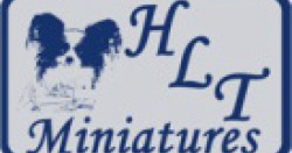 HLT Miniatures