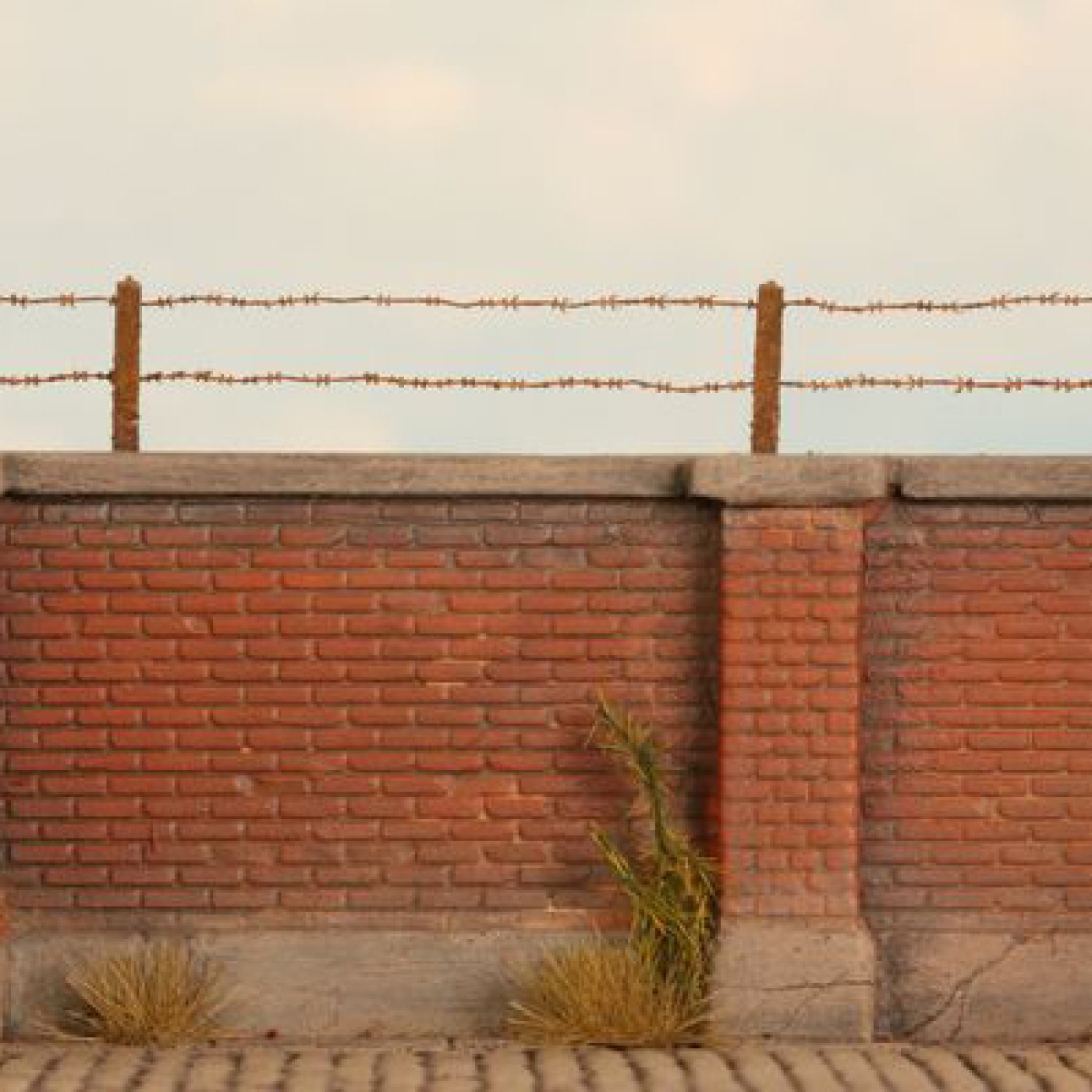 Model railway and wargame Barbed Wire in High Detail from Model Scene 48150