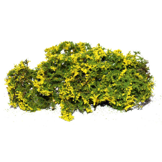 Model Yellow flowering bushes