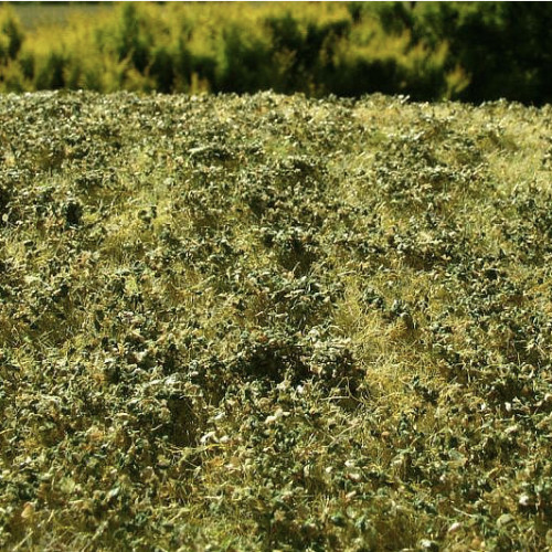 Model Scene Grass mats