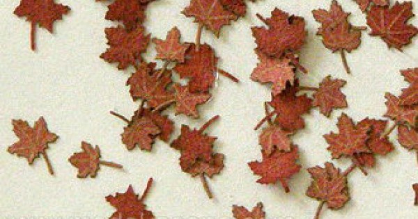 Scale Model Maple leaves 1:45 Red