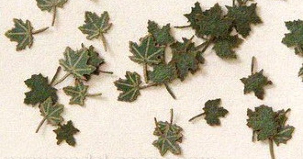 Scale Model Maple Leaves 1:32 Green