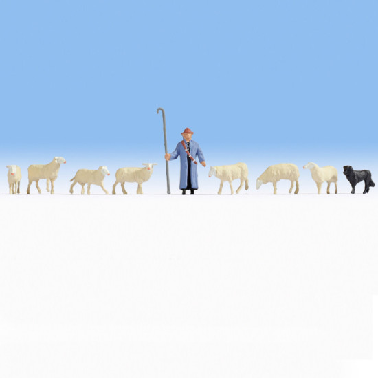 Shepherd and sheep N