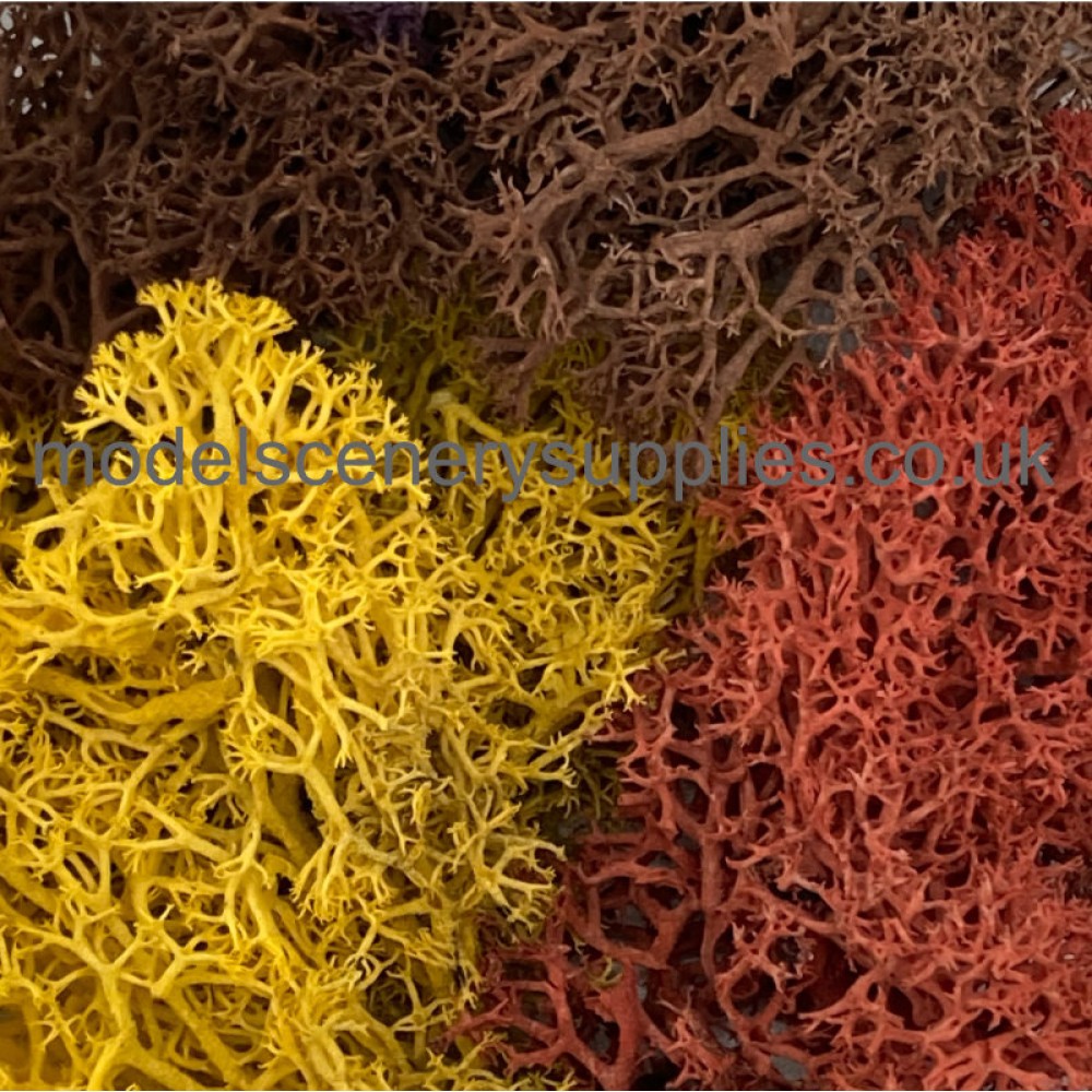 Lichen Autumn Mix Natural Scenics