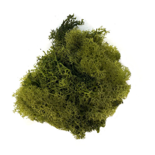 Model Railway Lichen bulk bag Javis mixed green JBULK