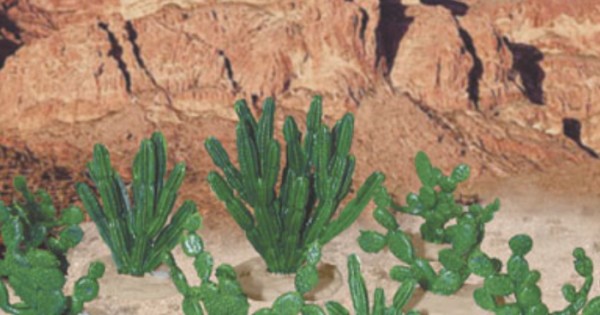 Model railway and wargame Cactus
