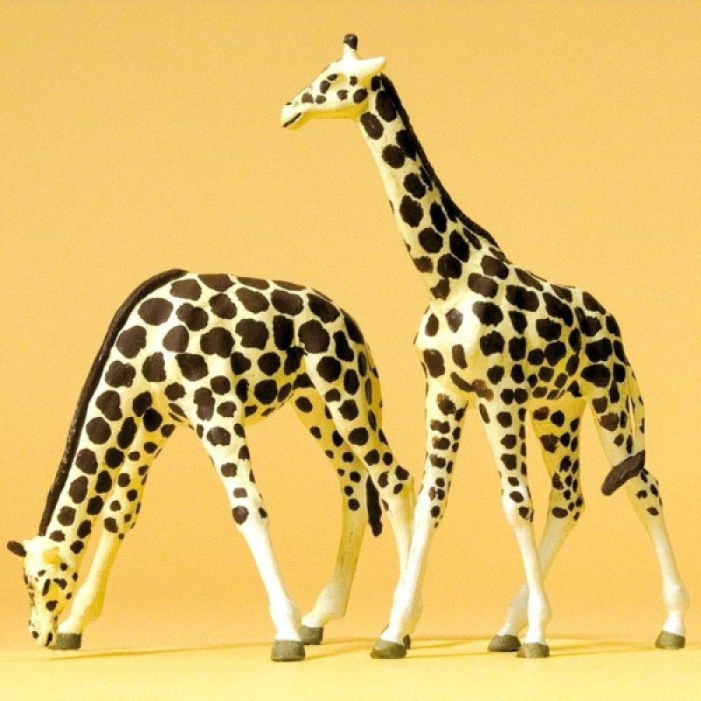 Model Giraffes OO
