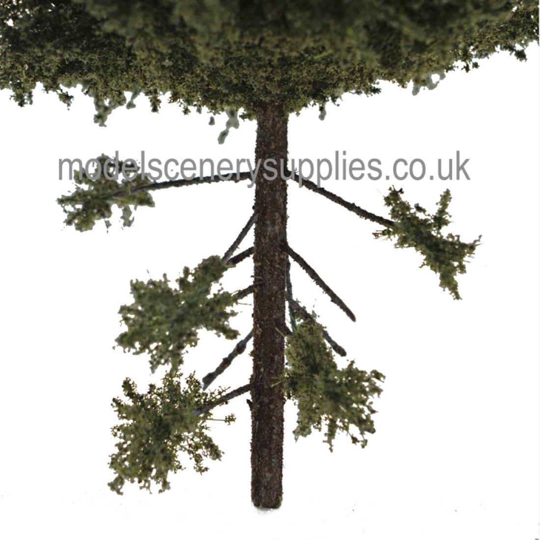 Model Spruce Trees with dead branches 200mm tall