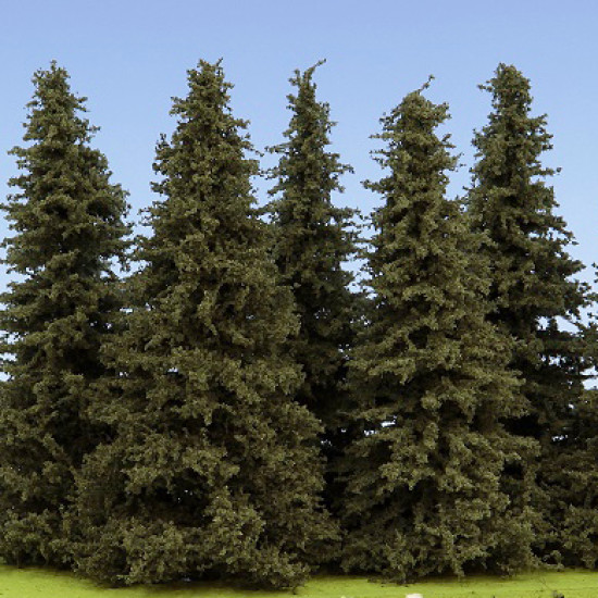 Model Pine and Spruce Trees 100mm tall