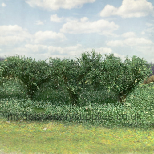 Model Bushes or Small Trees 35mm Tall
