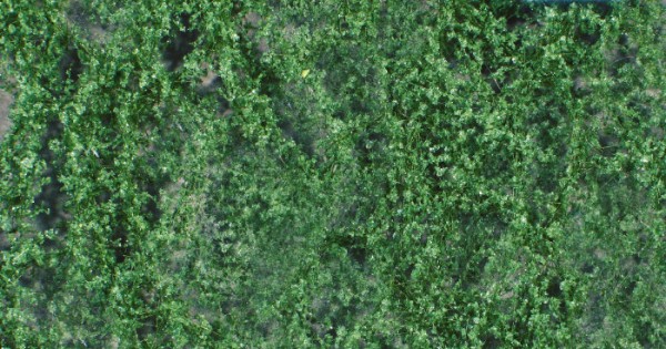 Model Tree FIne Foliage and Ground Cover Sheets Summer MiniNatur 980-12
