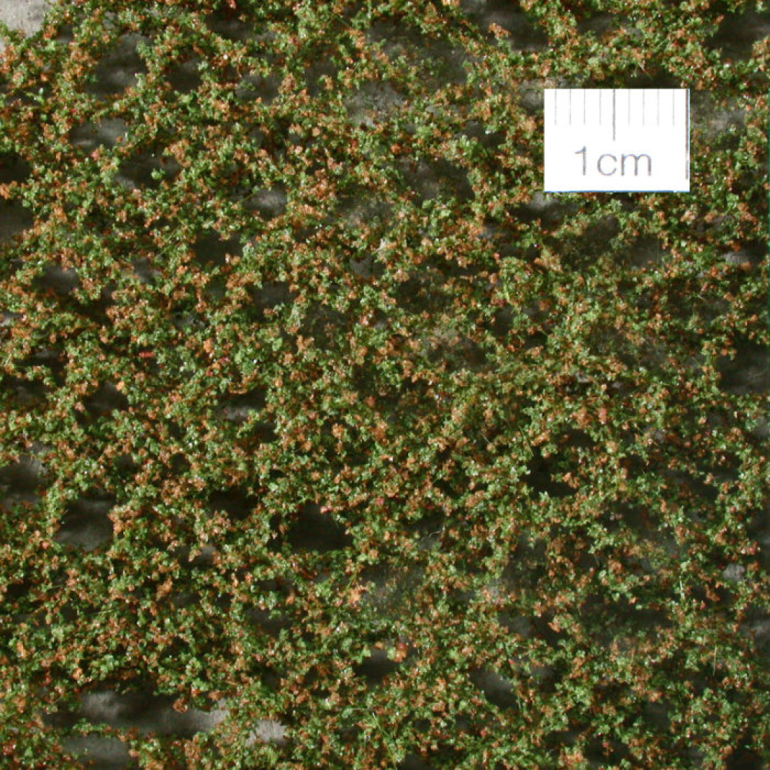 Model Tree Fine Foliage and Ground Cover Sheets Autumn MiniNatur 980-13